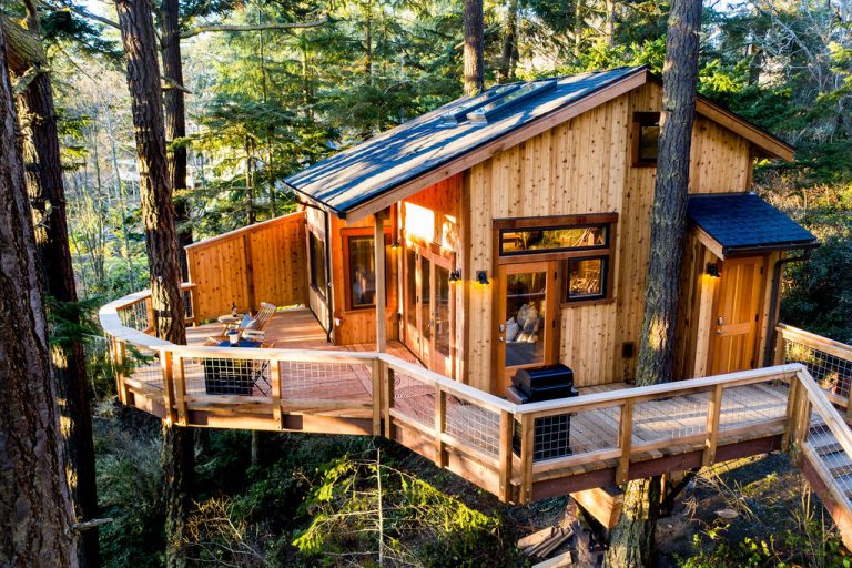 A slice of PNW Paradise - Nelson Treehouse