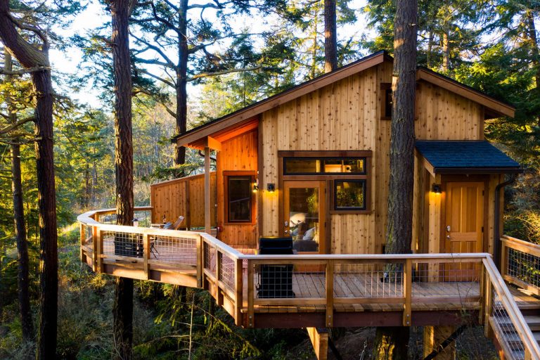 A slice of PNW Paradise - Nelson Treehouse