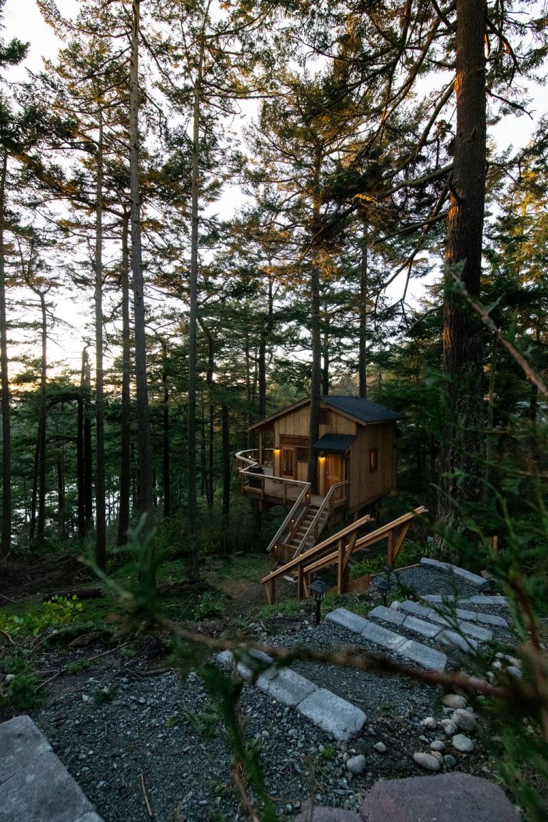 A slice of PNW Paradise - Nelson Treehouse