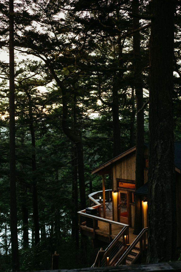 A slice of PNW Paradise - Nelson Treehouse