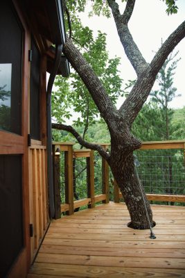 Mountain View Treehouses at Treehouse Grove - Nelson Treehouse