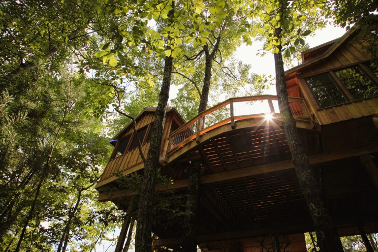 Mountain View Treehouses at Treehouse Grove - Nelson Treehouse