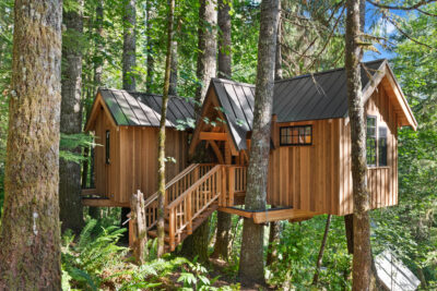 Unveiling Treehouse Mt. Rainier - Nelson Treehouse