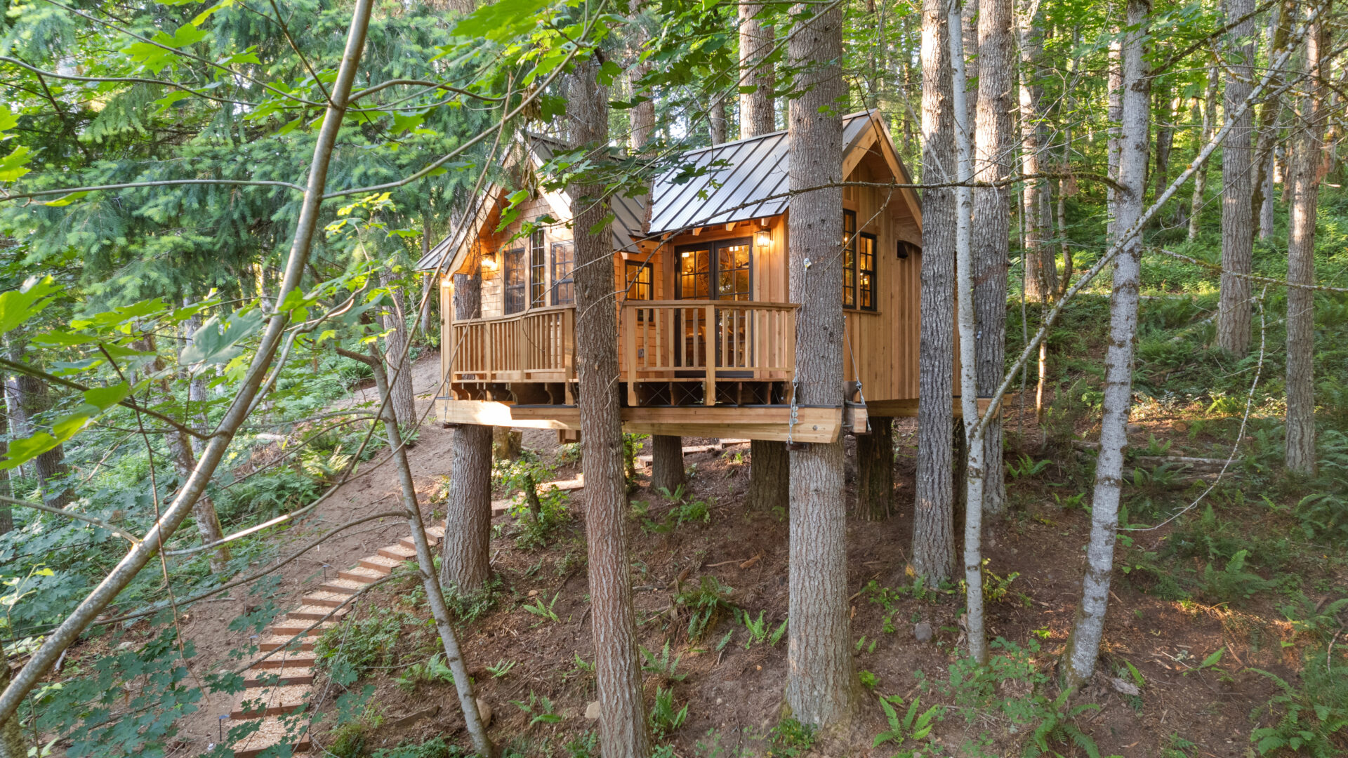 Unveiling Treehouse Mt. Rainier - Nelson Treehouse