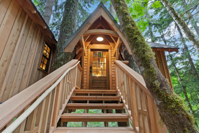 Unveiling Treehouse Mt. Rainier - Nelson Treehouse