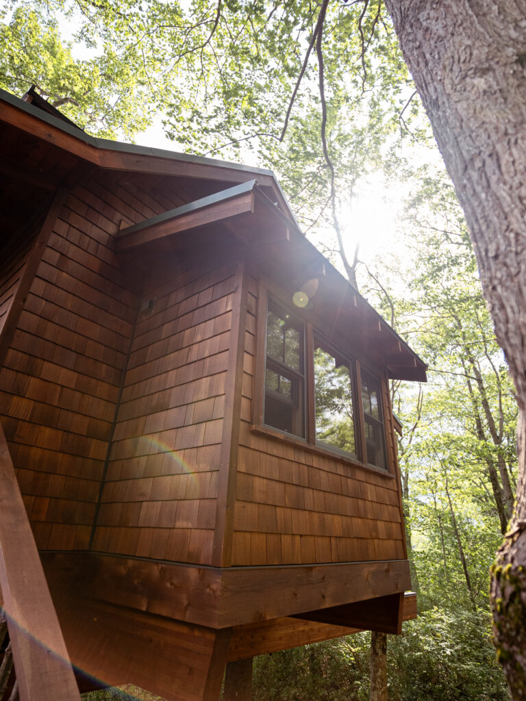 The Lakeside Treehouse Cabin - Nelson Treehouse