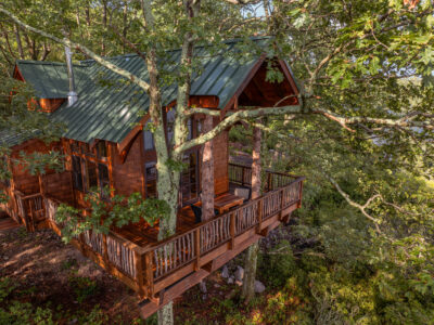 The Lakeside Treehouse Cabin - Nelson Treehouse