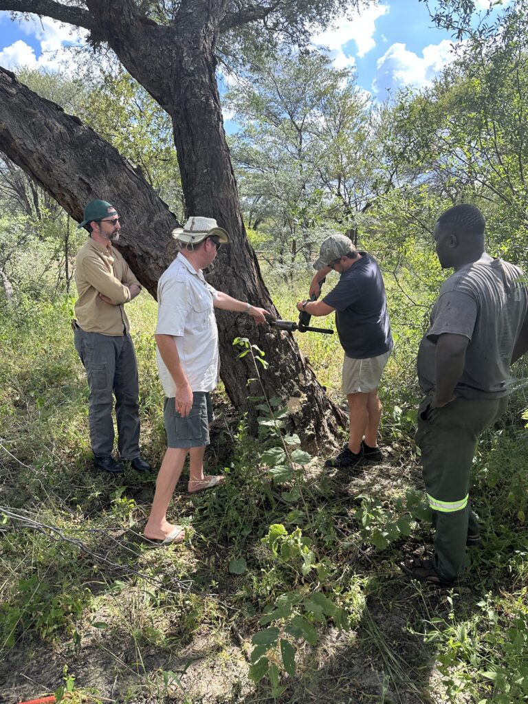 Tum Tum Treehouse Lodge: Building a Safari Lodge in Zimbabwe - Nelson ...