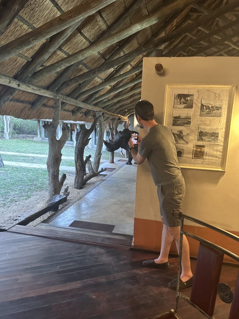 Tum Tum Treehouse Lodge: Building a Safari Lodge in Zimbabwe - Nelson ...