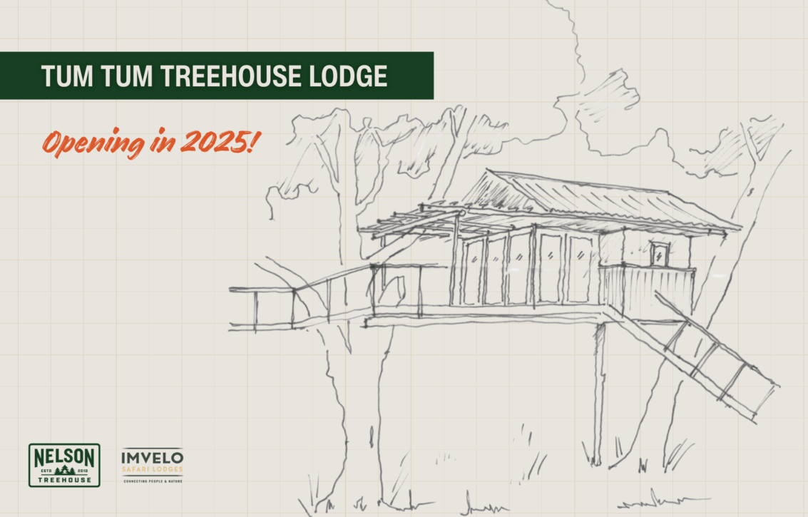 Tum Tum Treehouse Lodge: Building a Safari Lodge in Zimbabwe - Nelson ...