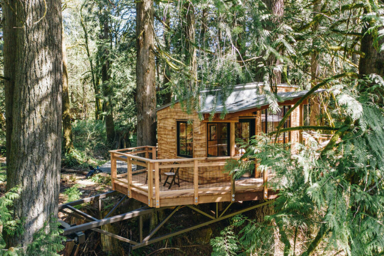 Ananda: The ADA-Accessible Treehouse at Treehouse Point - Nelson Treehouse