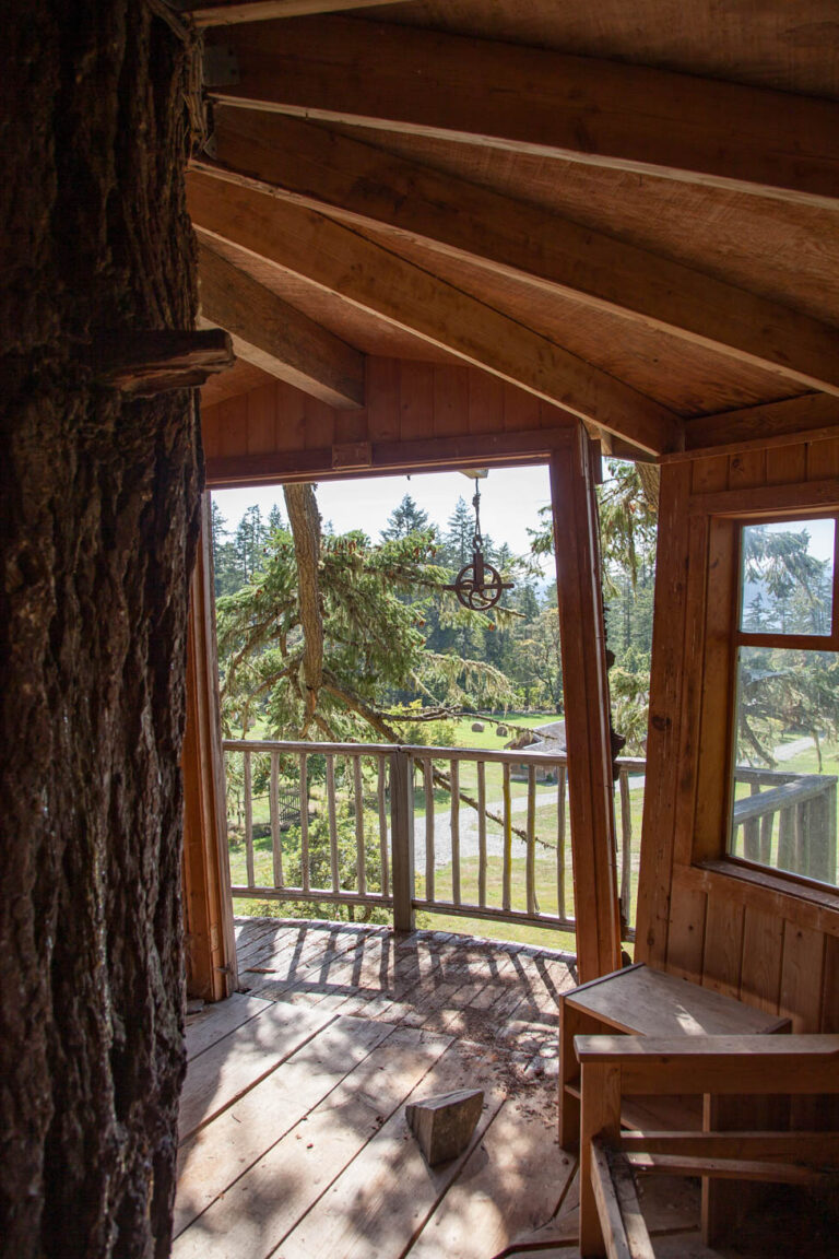 Restoring Pete’s First “Grown-Up” Treehouse on Salt Spring Island ...